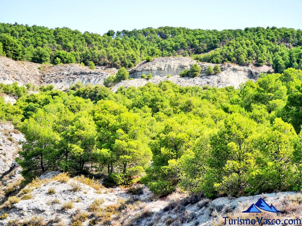 Arguedas, qué ver y hacer.