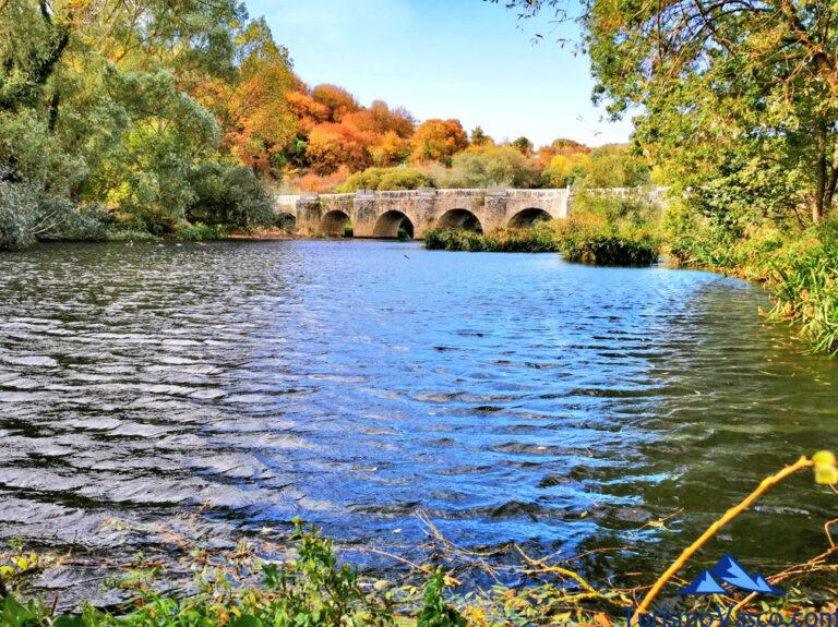 What to see and do in Añana: 17 plans you can't miss.