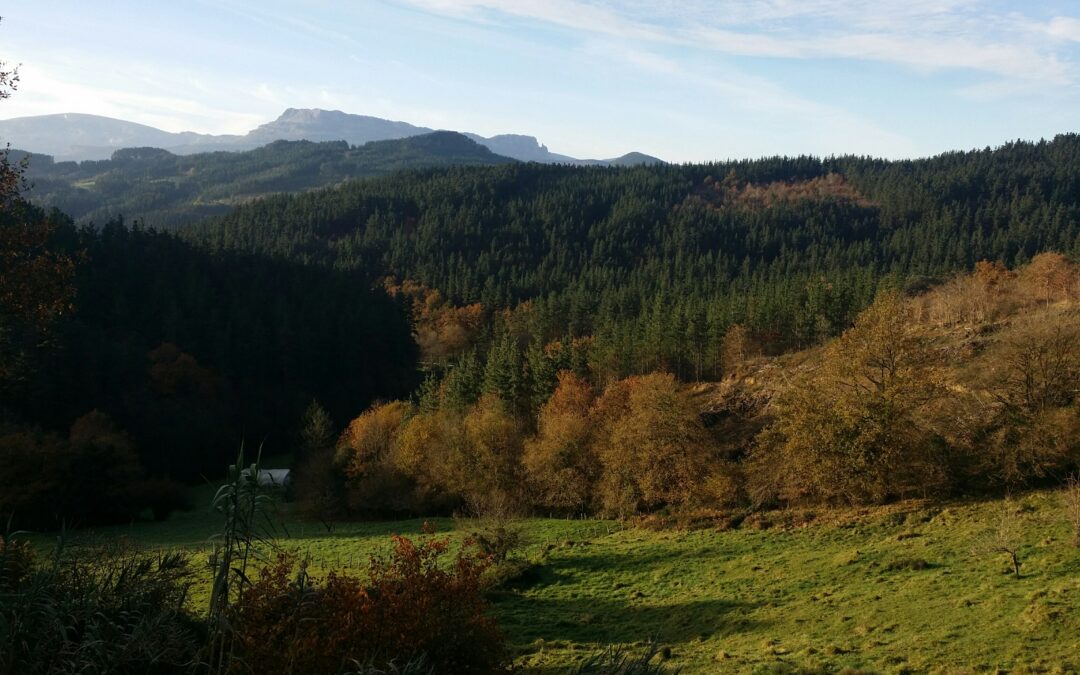 Montes vascos | TurismoVasco.com